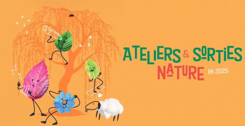 Des vacances en pleine nature avec le CDPNE ! | Kidiklik